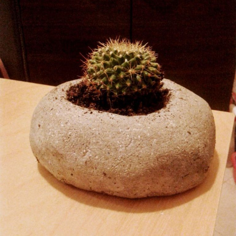 8 Inspirasi Pot Batu Alam untuk Taman Lebih Natural dan Elegan | Mughni ...