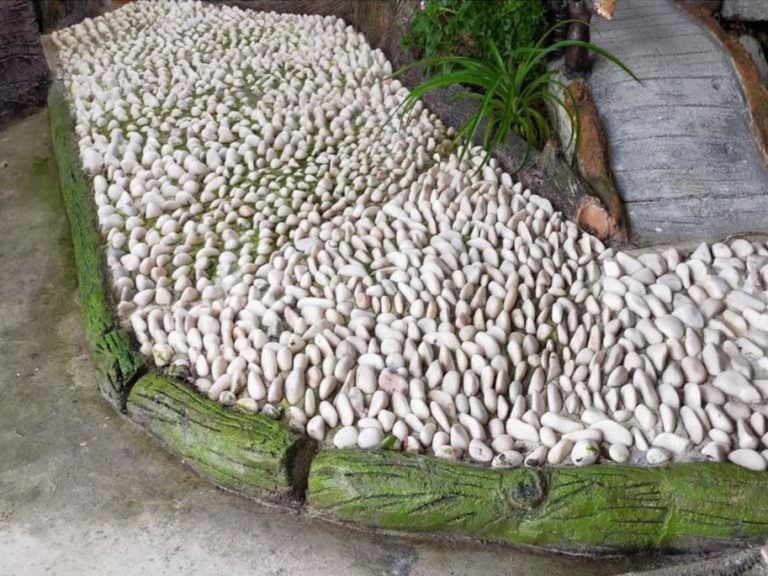 Batu Koral Putih: Jenis, Harga, Ukuran, dan Fungsi untuk Taman & Lantai ...