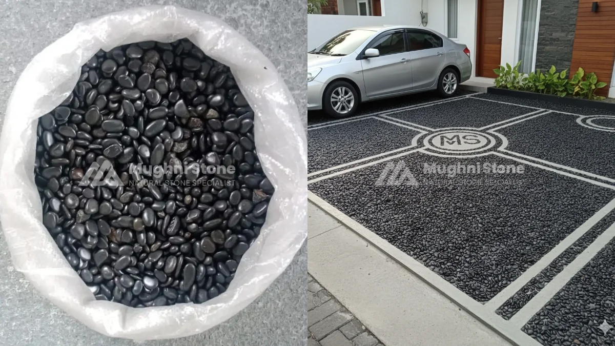 Batu Koral Italy Hitam: Karakteristik, Kelebihan, Aplikasi, dan Tips ...